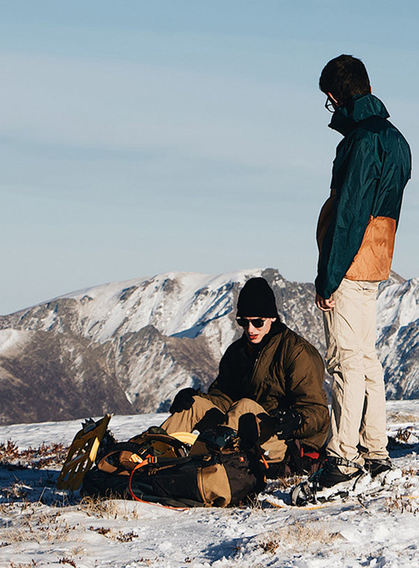 DC Charging Enhancer (D050S)